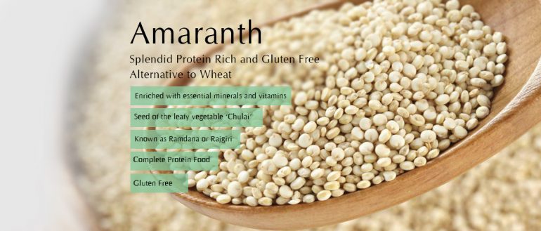 Amaranth – Splendid Protein Rich and Gluten Free Alternative to Wheat