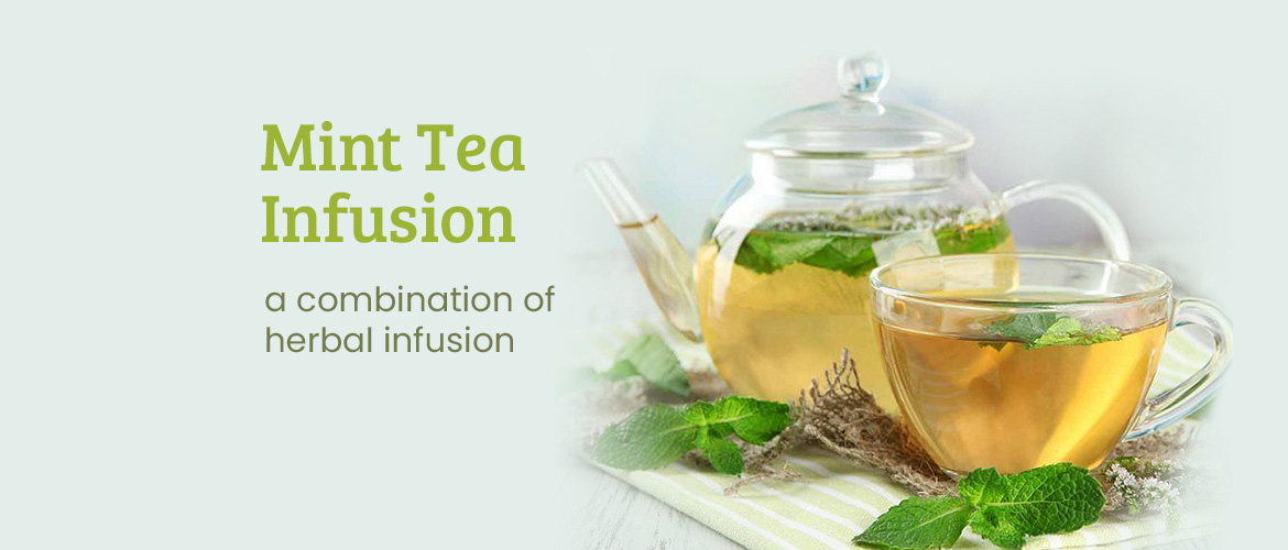 Mint Tea Infusion