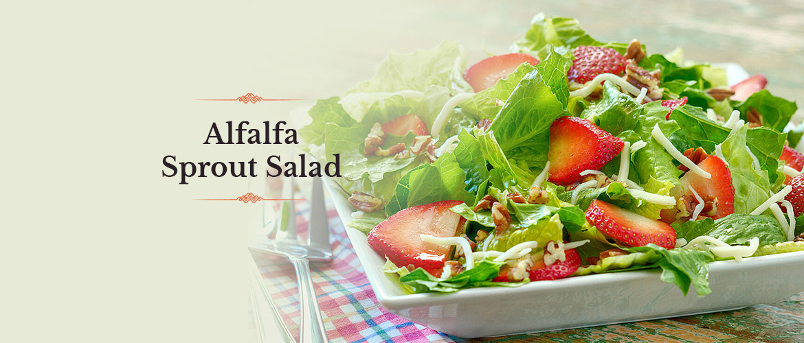 Alfalfa Sprout Salad